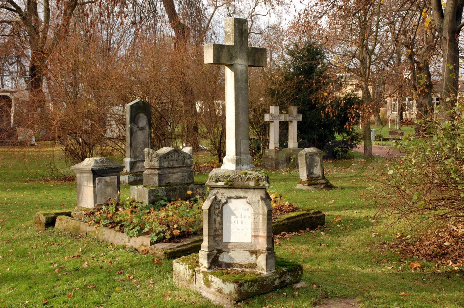 gothic graveyard | Stock image | Colourbox