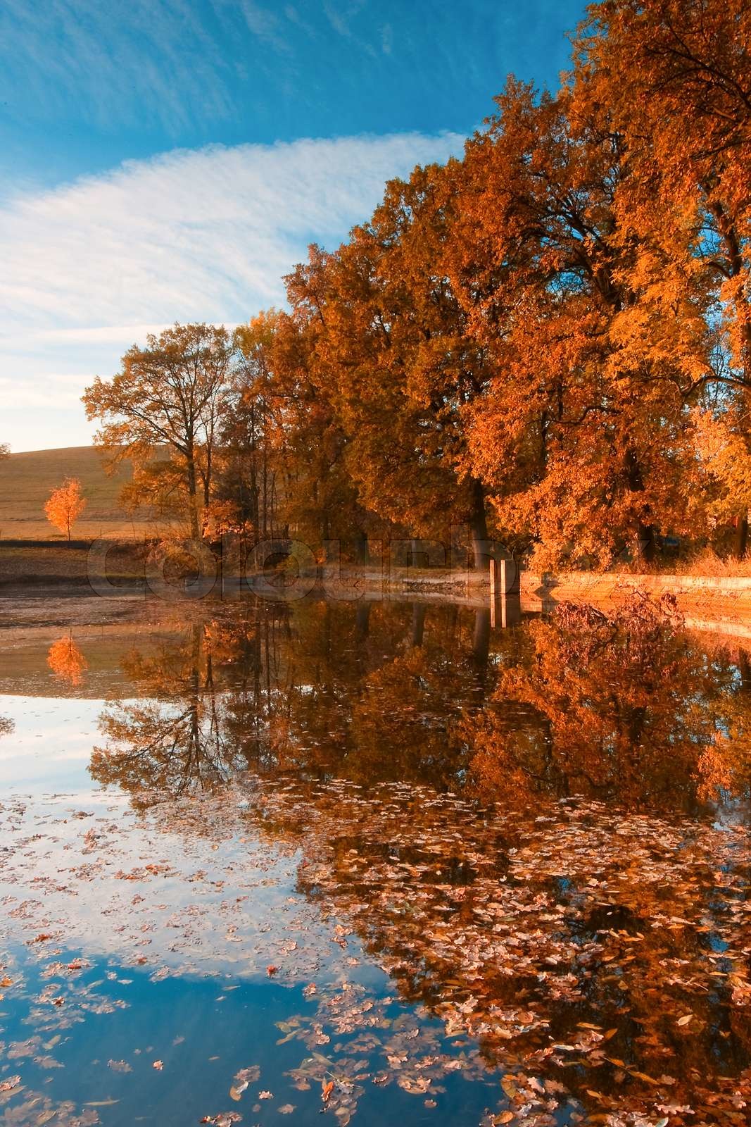 The symmetry on the river | Stock image | Colourbox