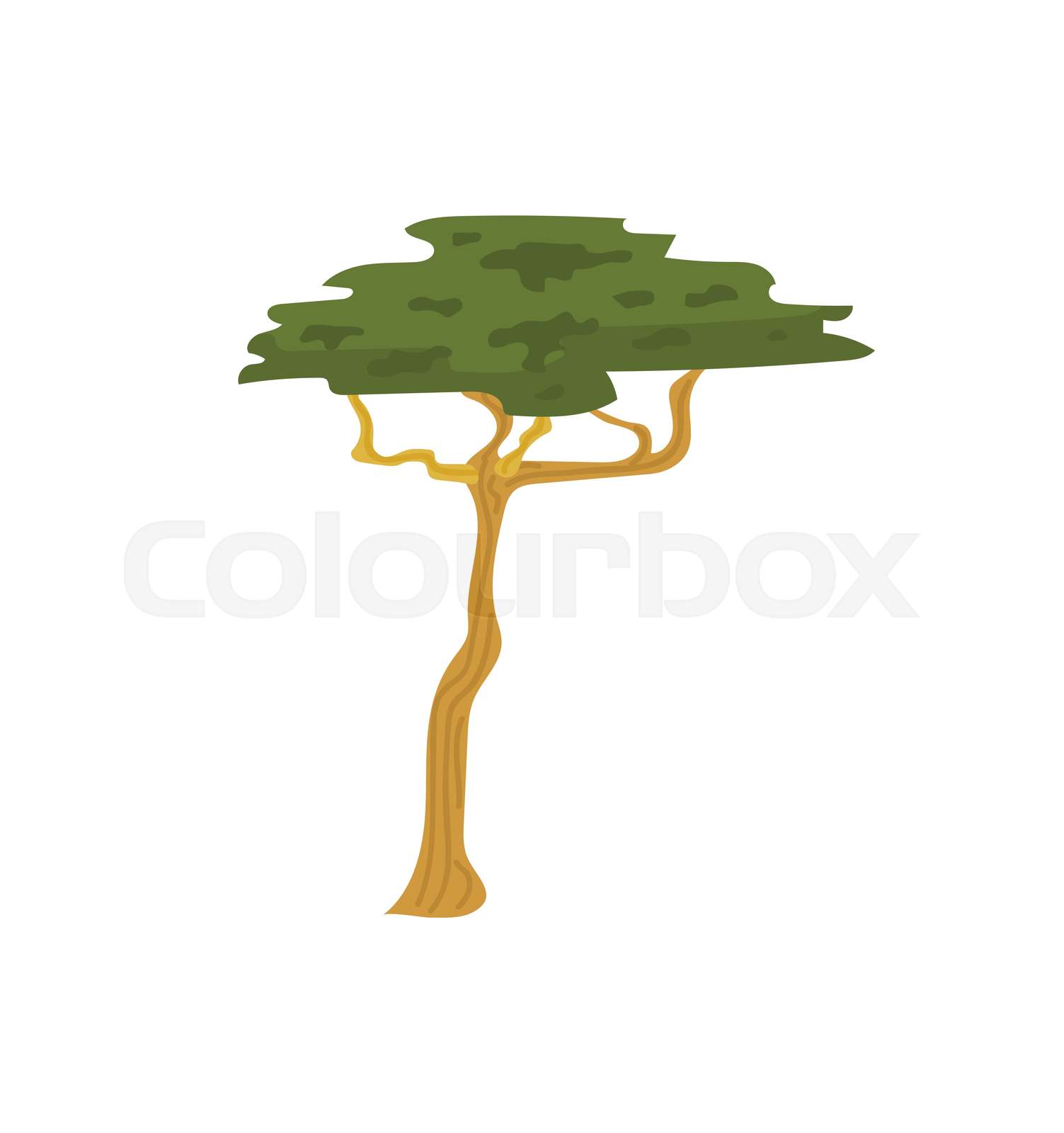Wildlife Plant, Savanna Tree, African Flora Vector | Stock vector ...