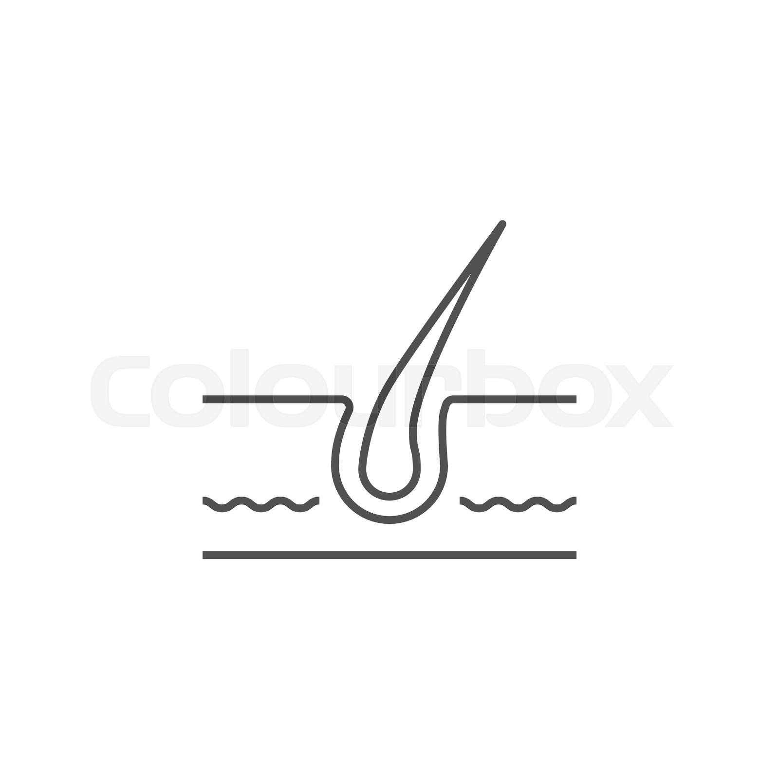 Hair Vector Line Icons | Stock vector | Colourbox