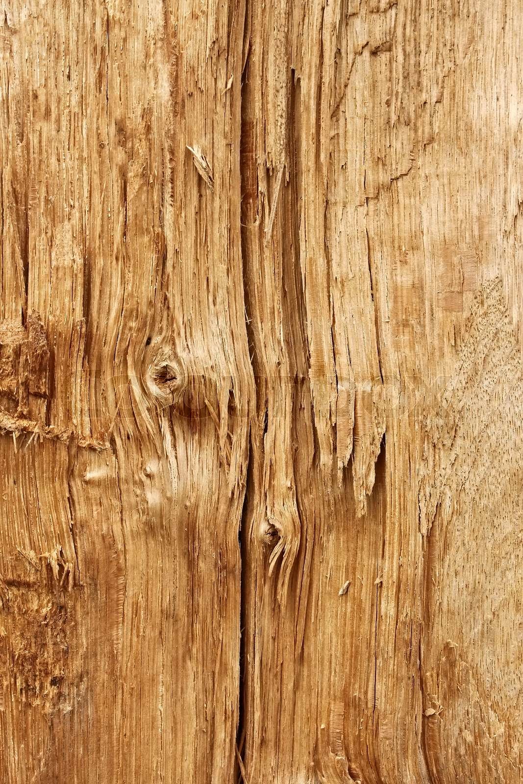 New wooden broken log | Stock image | Colourbox