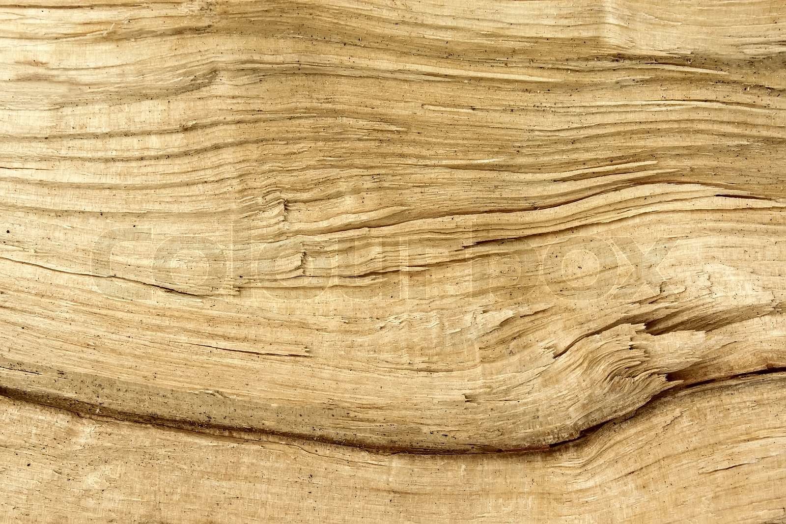 Broken log as a texture | Stock image | Colourbox