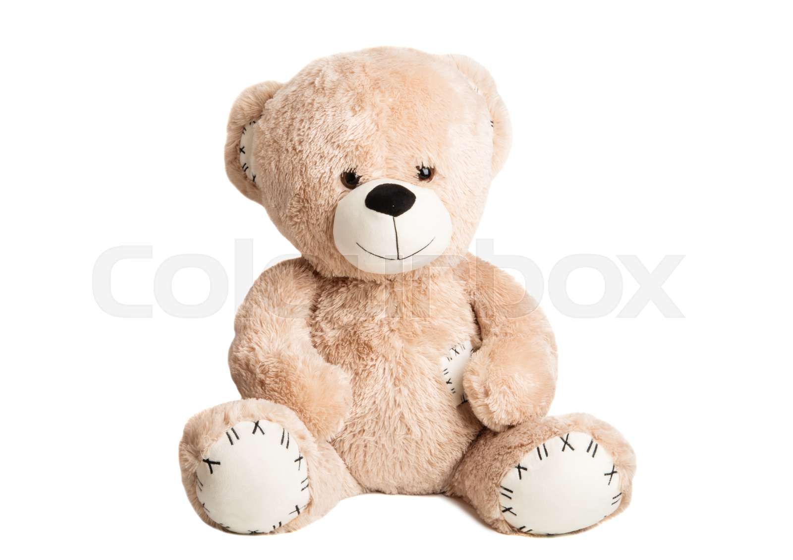 soft bear toy isolated | Stock image | Colourbox