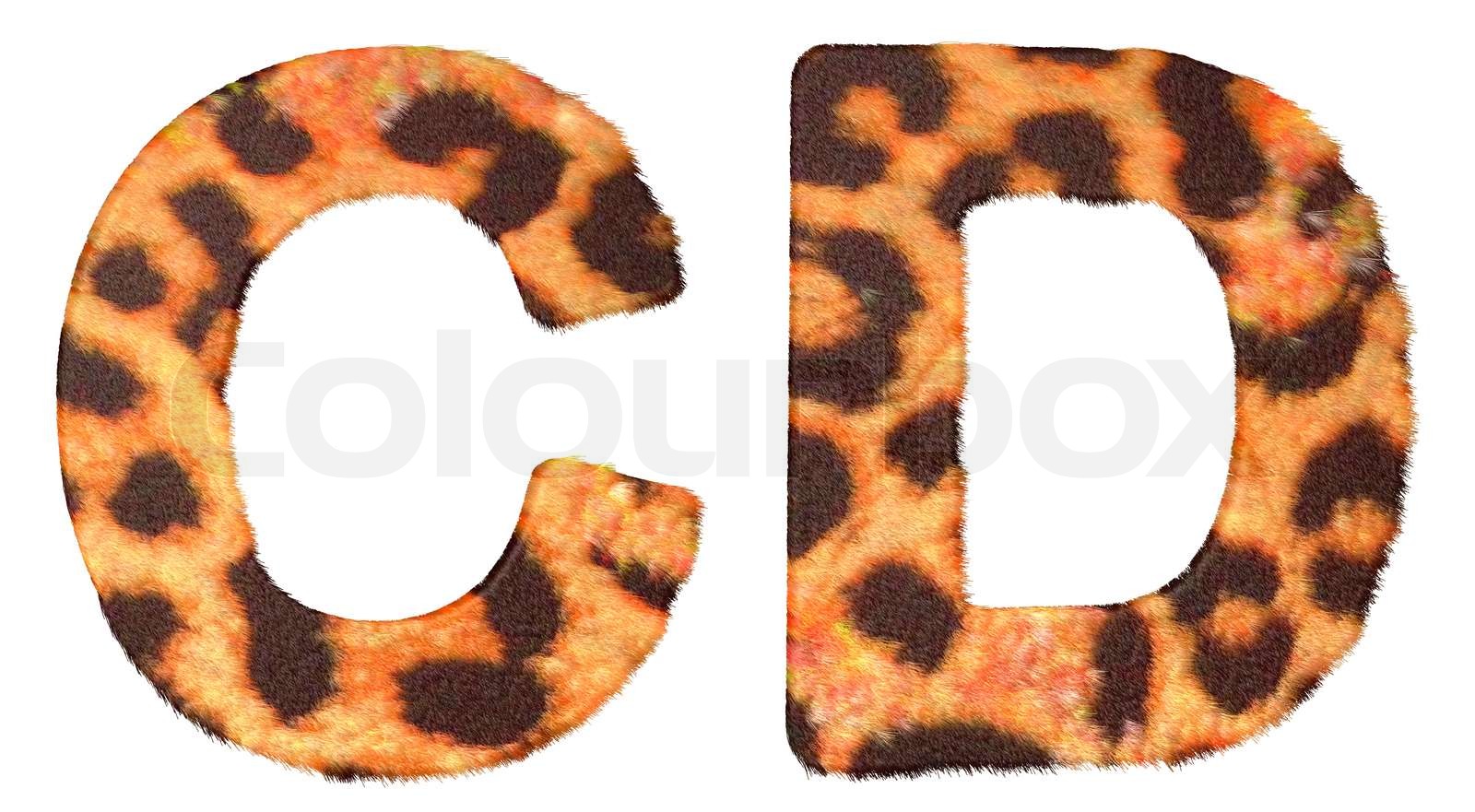 Leopard fur C and D letters isolated | Stock image | Colourbox
