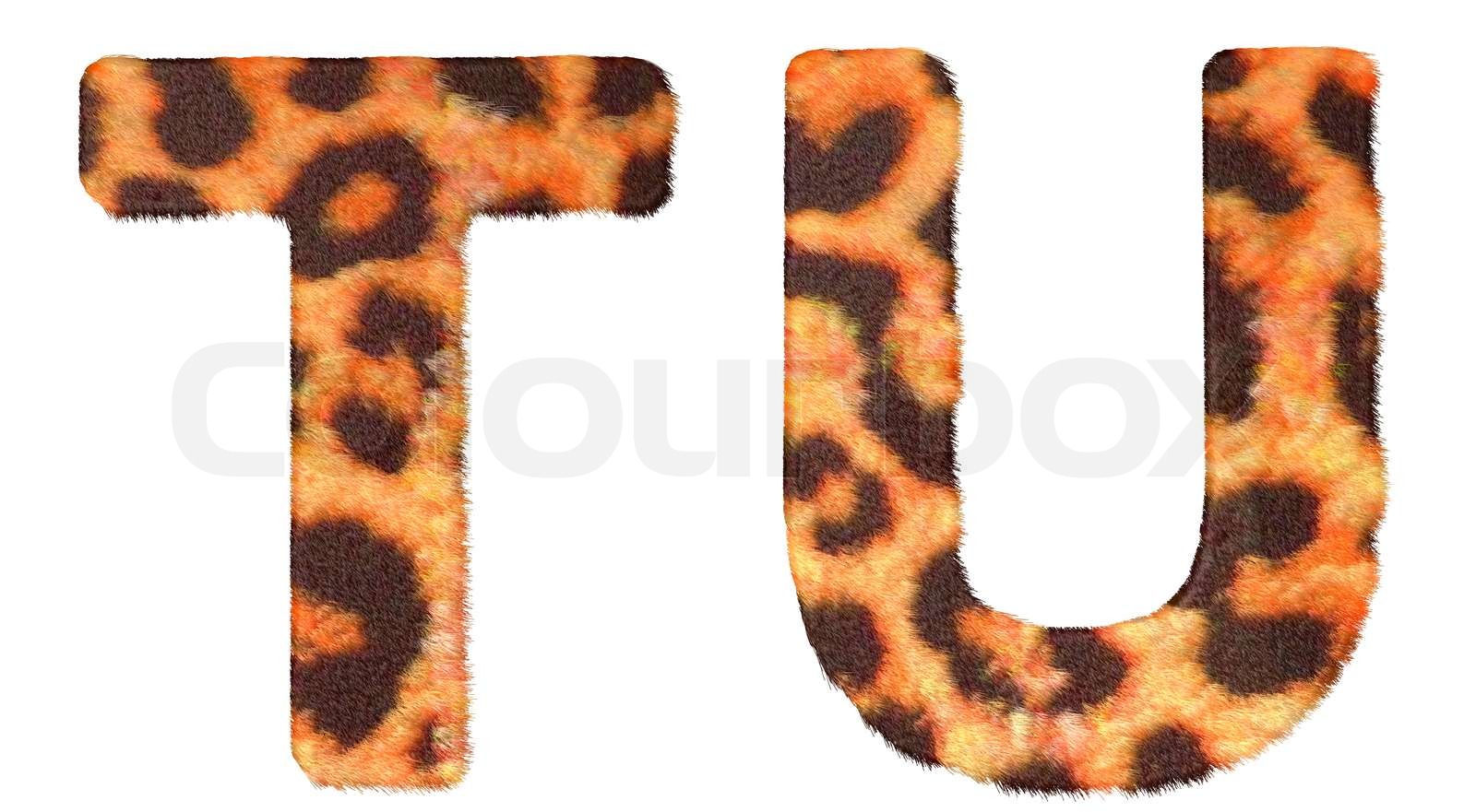 Leopard fur T and U letters isolated | Stock image | Colourbox