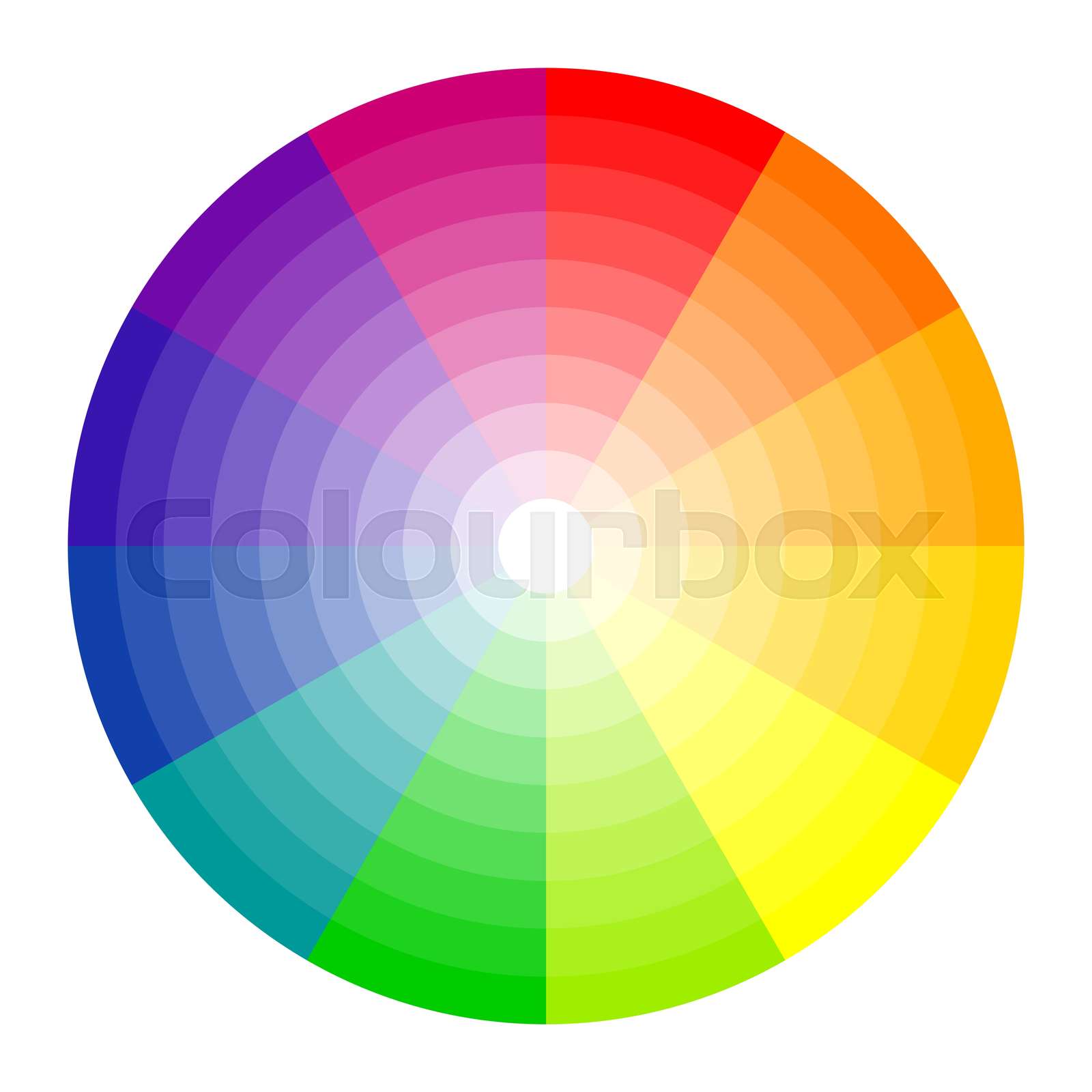 Color circle 12 colors | Stock vector | Colourbox