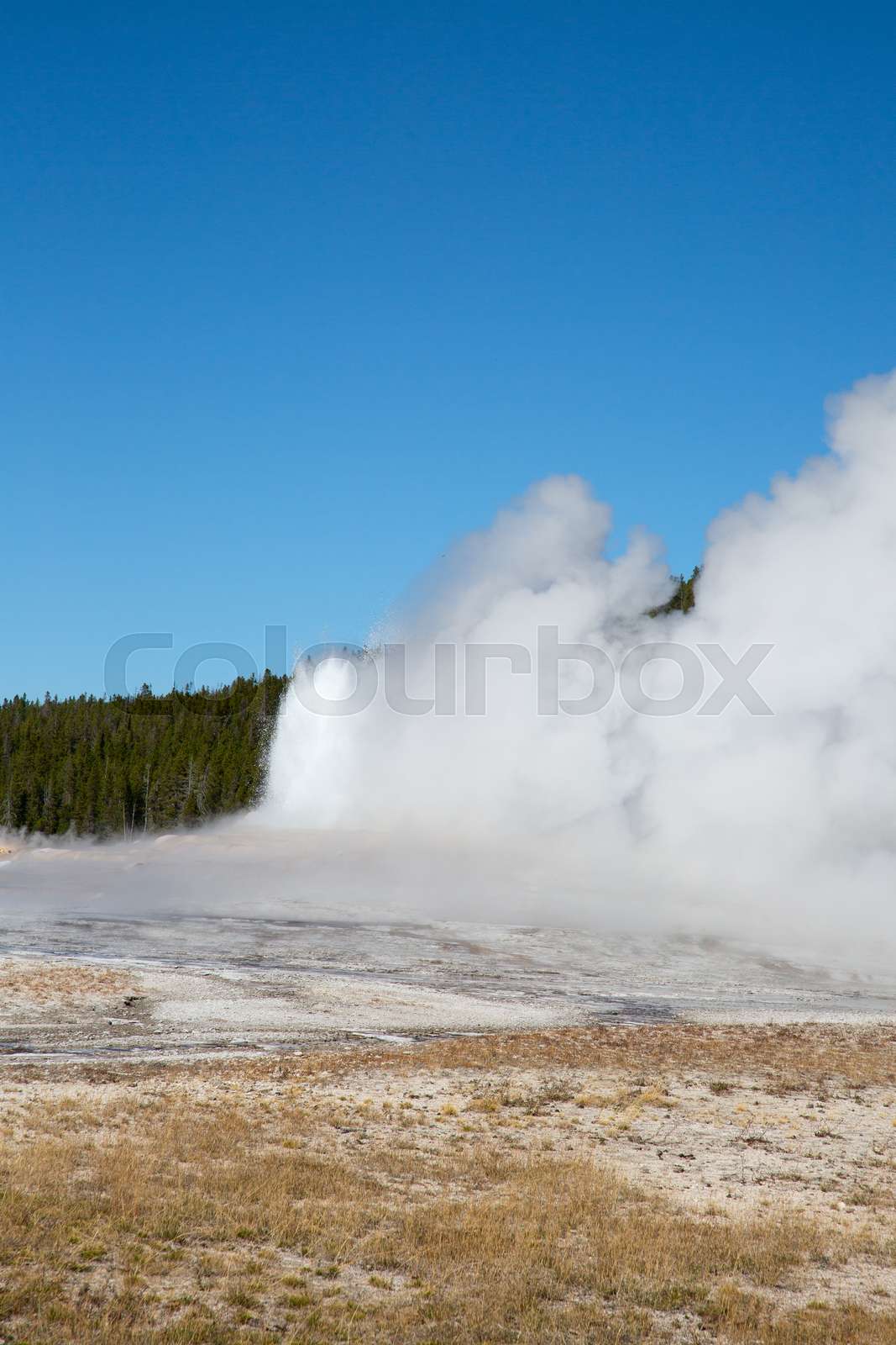 Geyser | Stock image | Colourbox