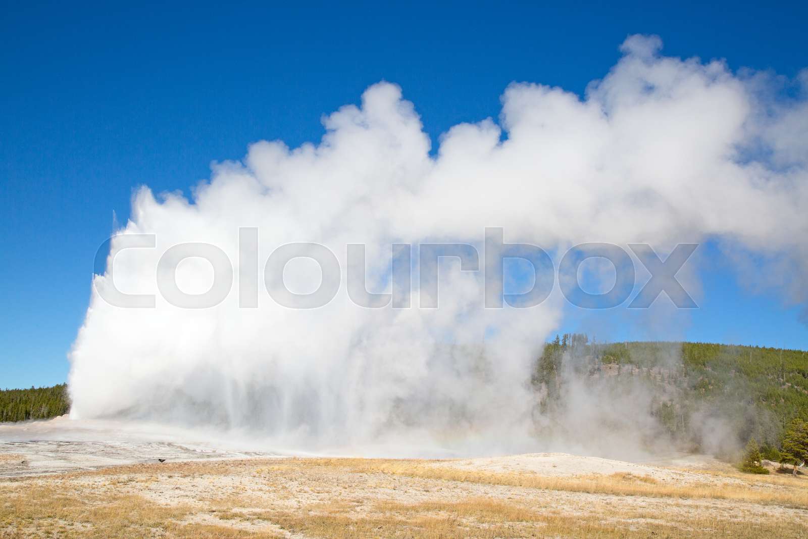 Geyser | Stock image | Colourbox