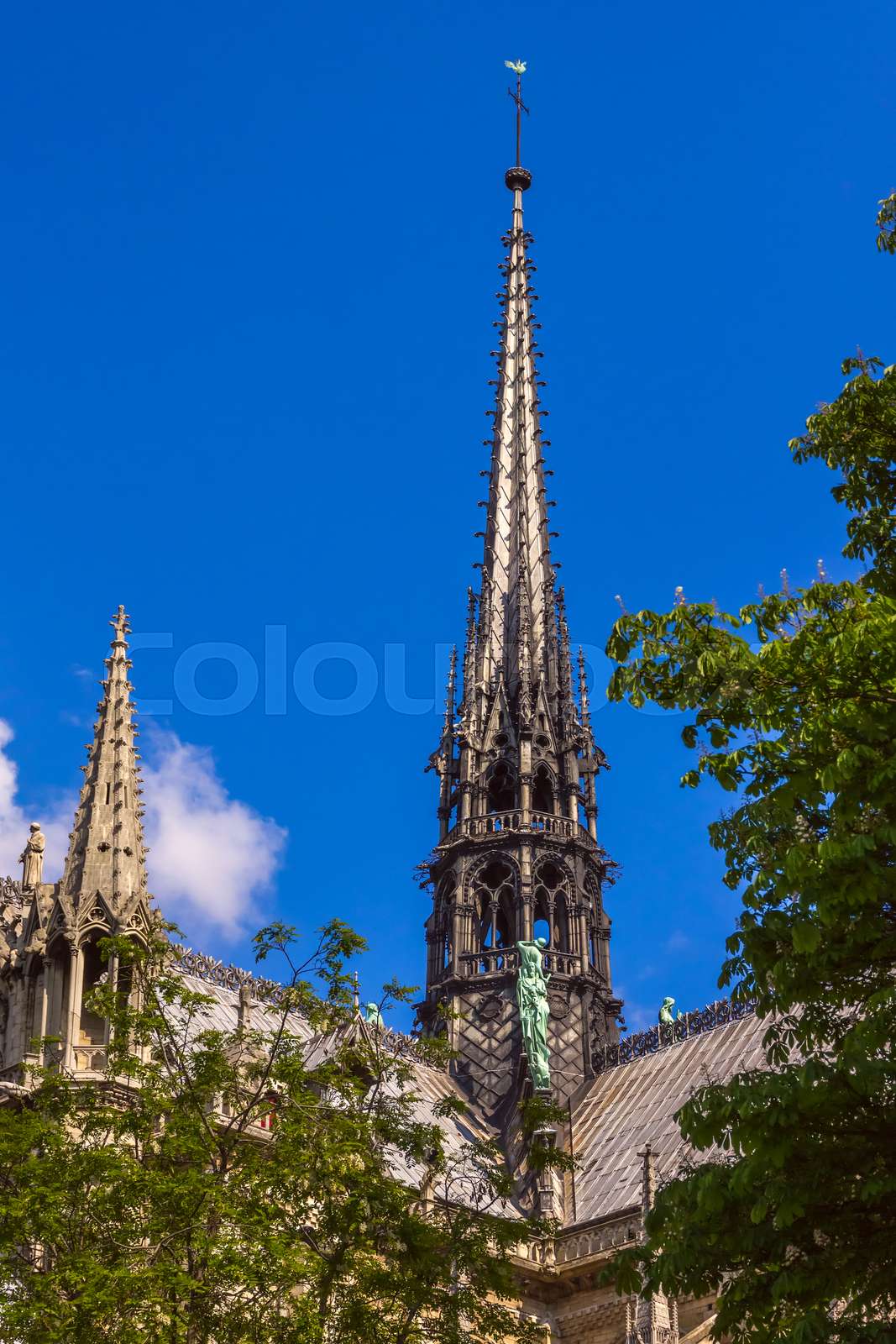Spire of Cathedral of Notre Dame de Paris, France | Stock image | Colourbox
