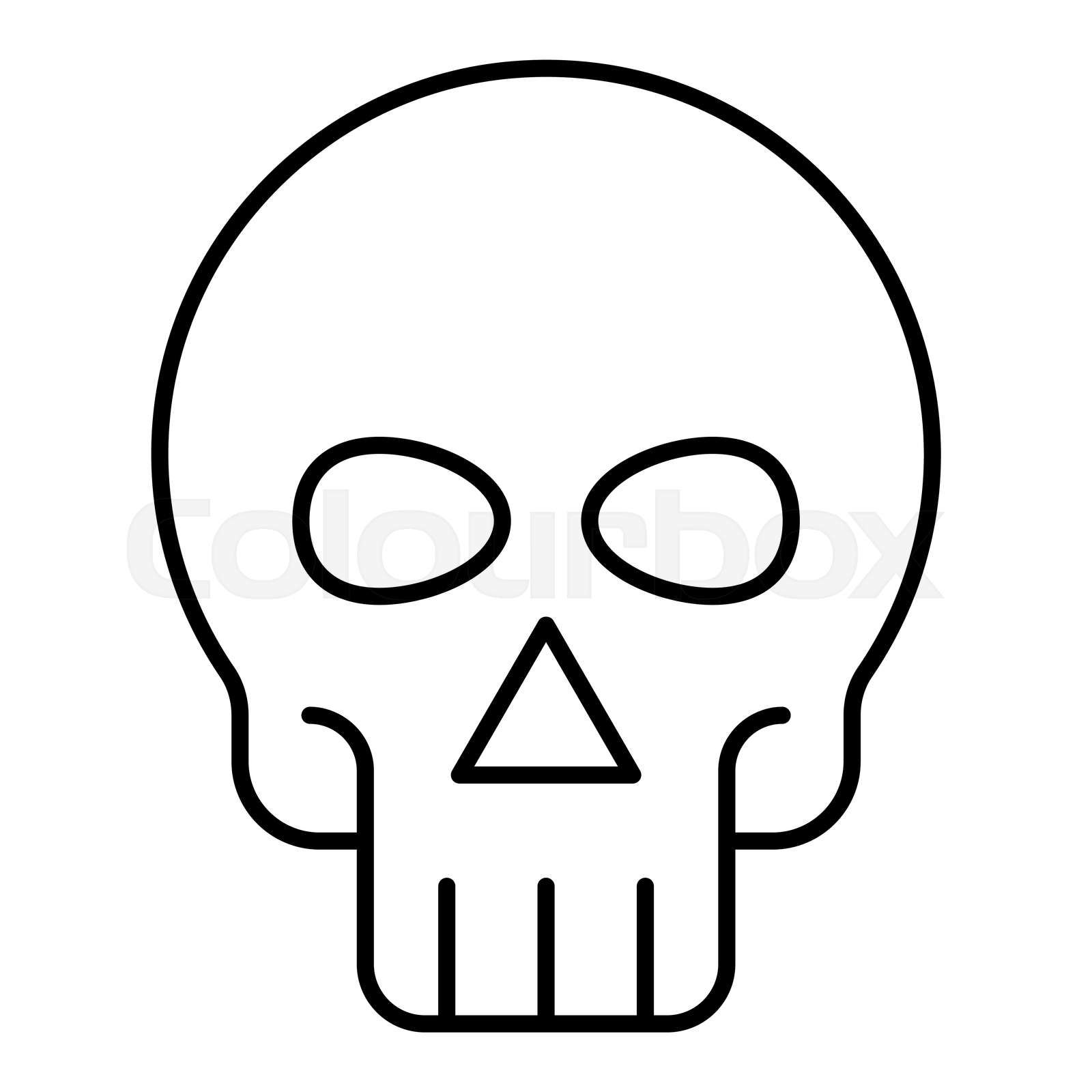 Skull thin line icon. Skeleton vector illustration isolated on white ...