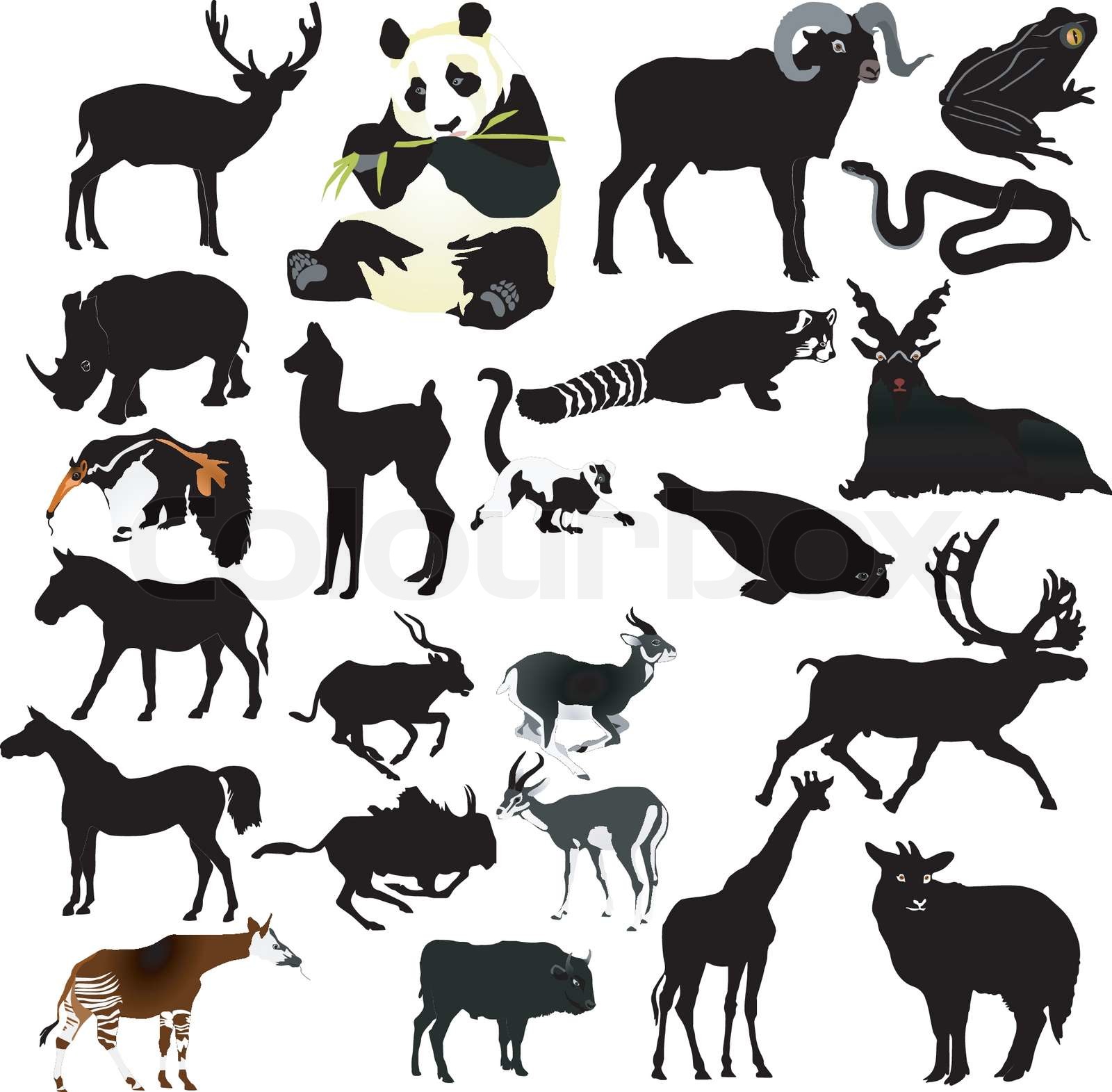 collection of vector animals | Stock vector | Colourbox