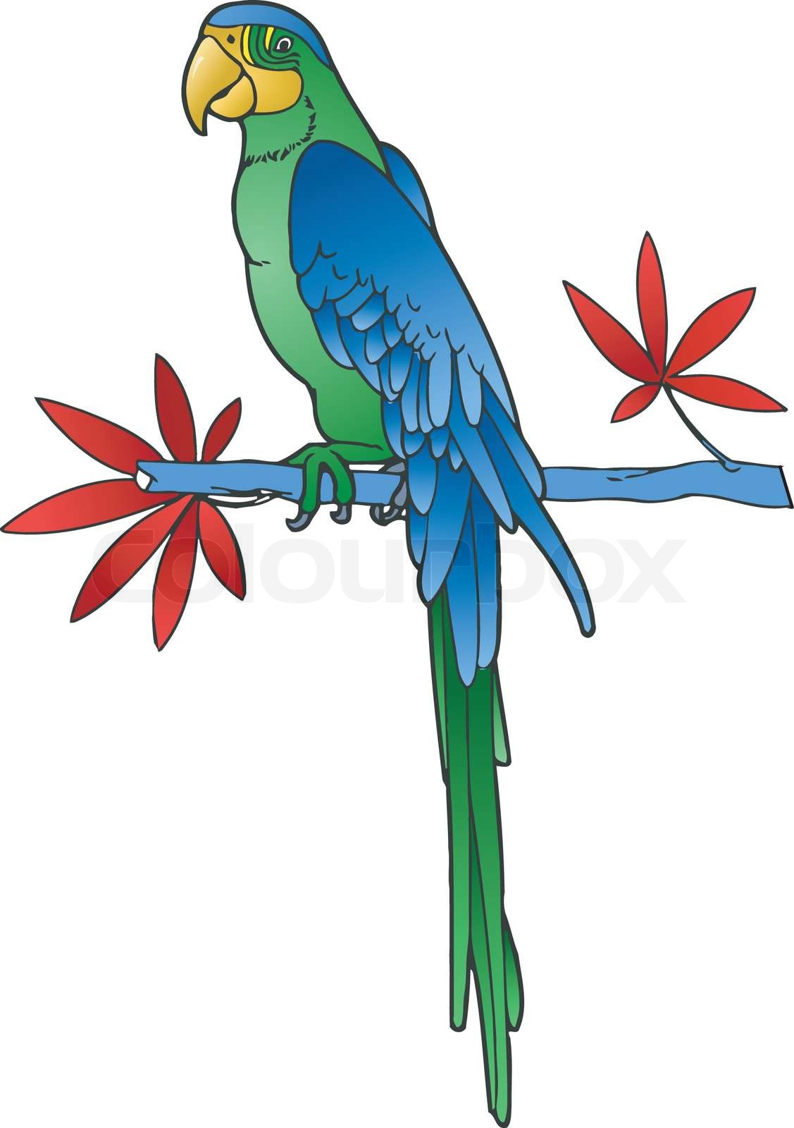 parrot | Stock vector | Colourbox