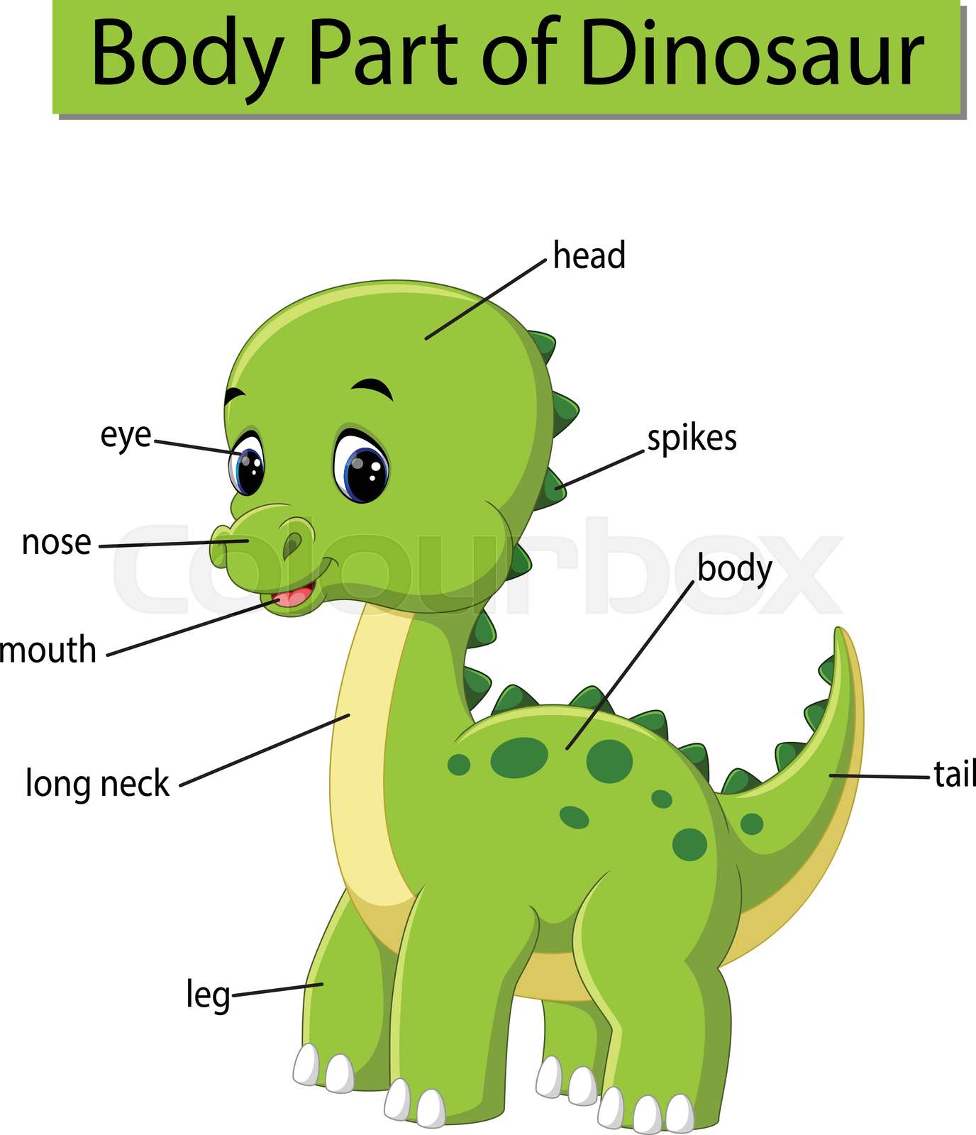 Diagram showing body part of dinosaur | Stock vector | Colourbox