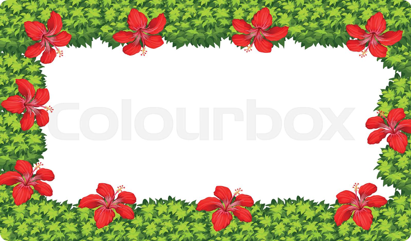 A hibiscus flower frame | Stock vector | Colourbox