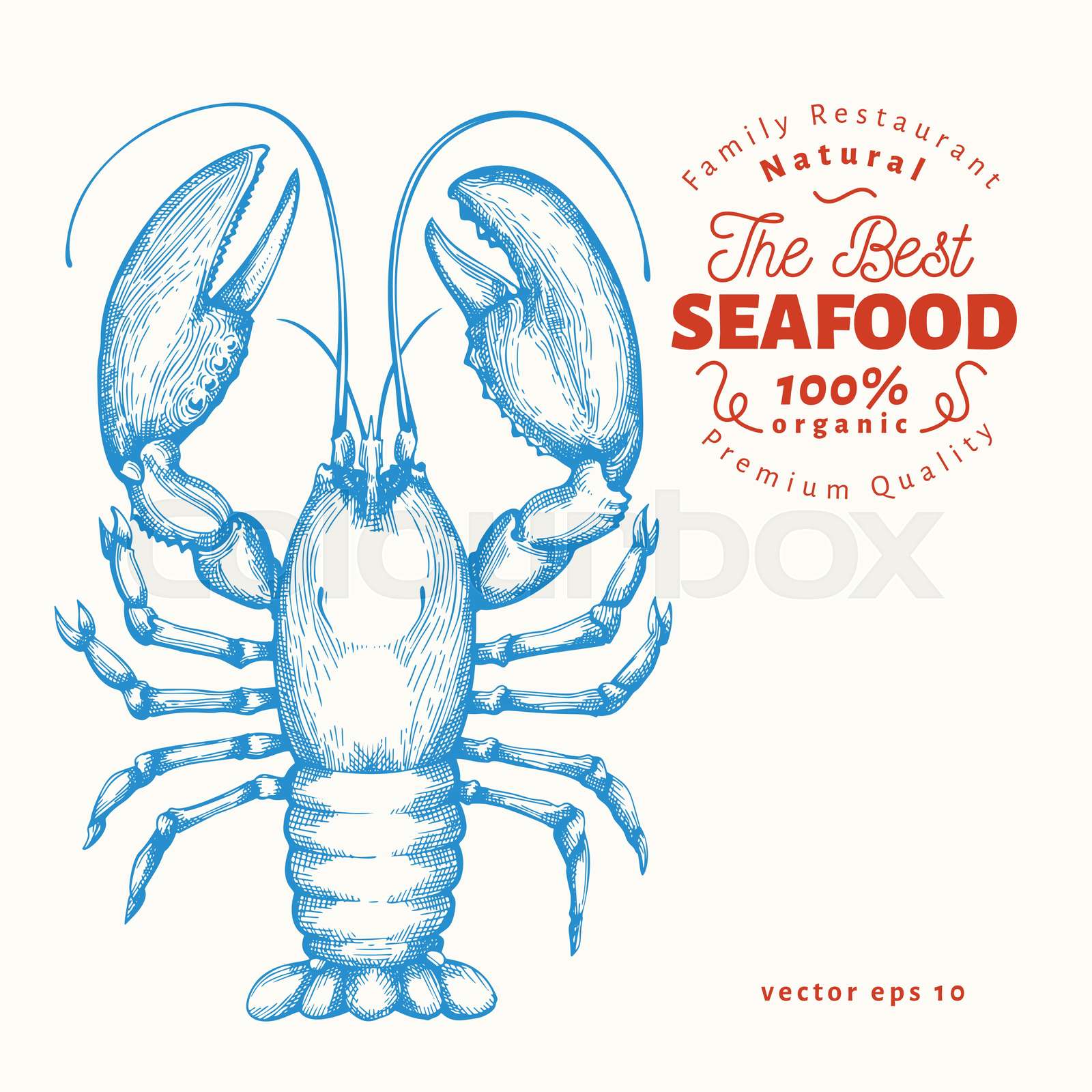 Lobster illustration. Hand drawn vector seafood illustration. Engraved ...