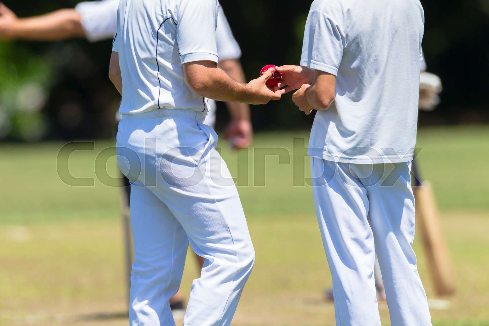 Cricket Ball Players | Stock image | Colourbox