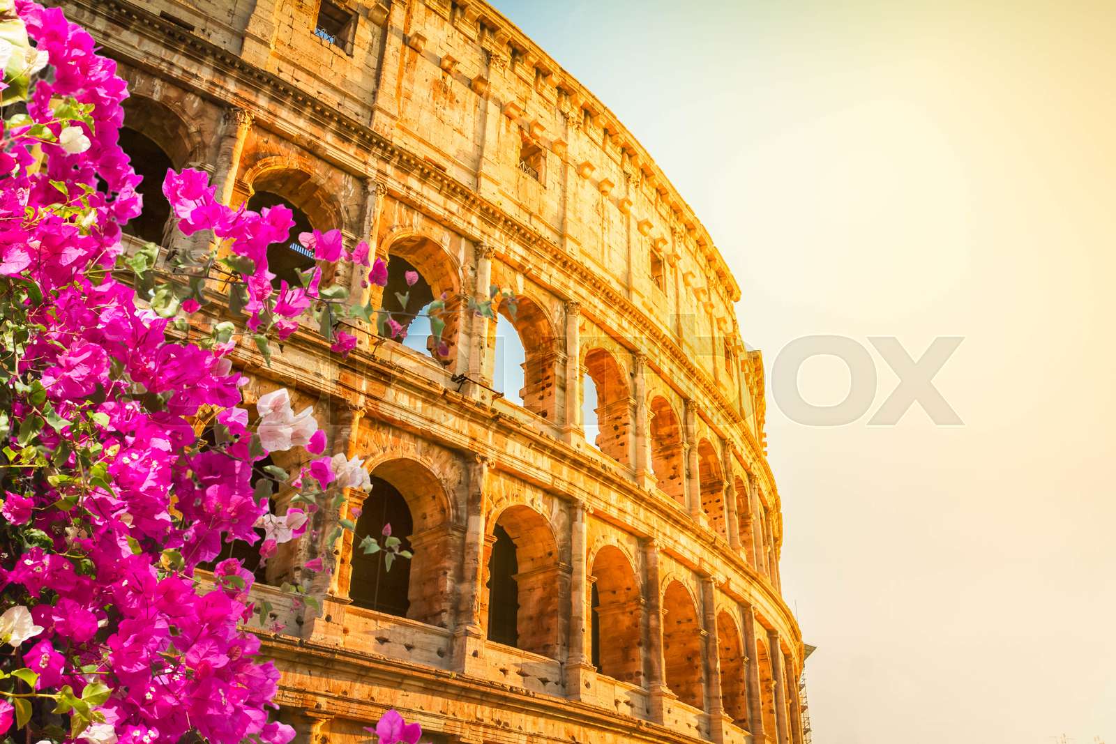 sonnenuntergang, kolosseum, rom | Stock Bild | Colourbox