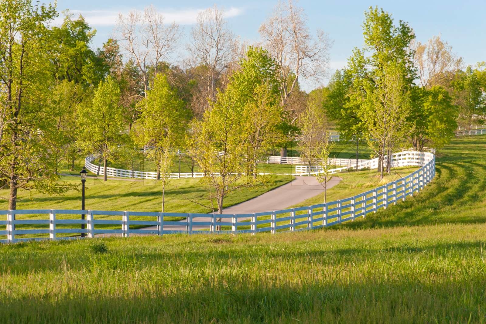 Country Scenery. Green pastures of horse farms. | Stock image | Colourbox
