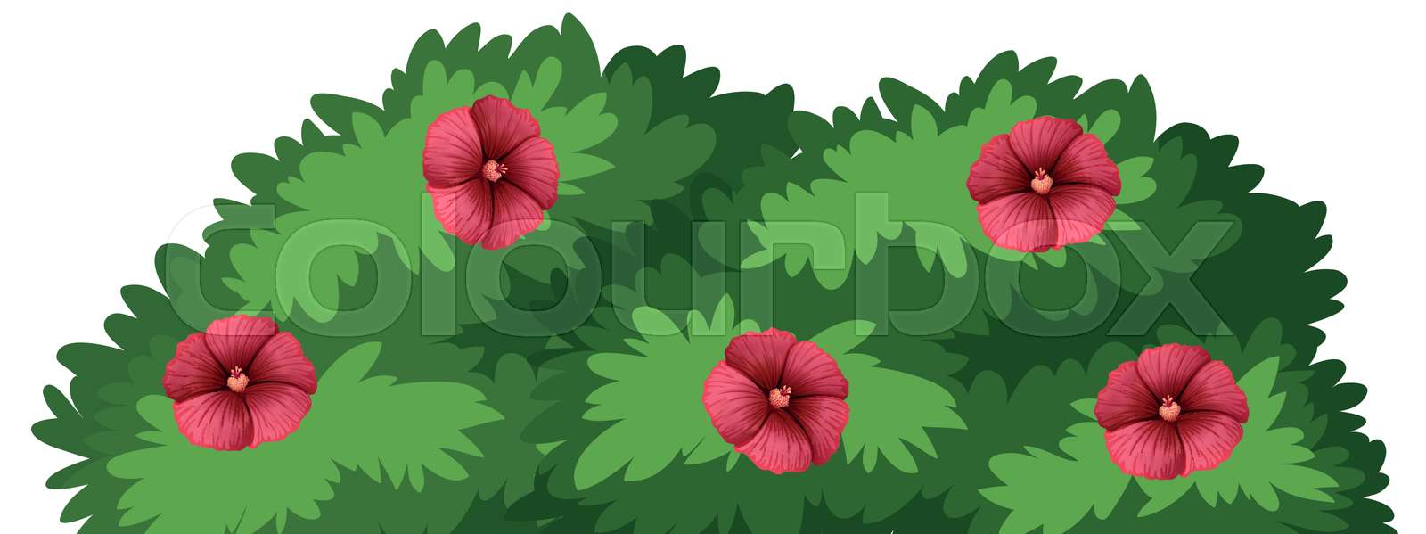 Isolated flower bush with flowers | Stock vector | Colourbox