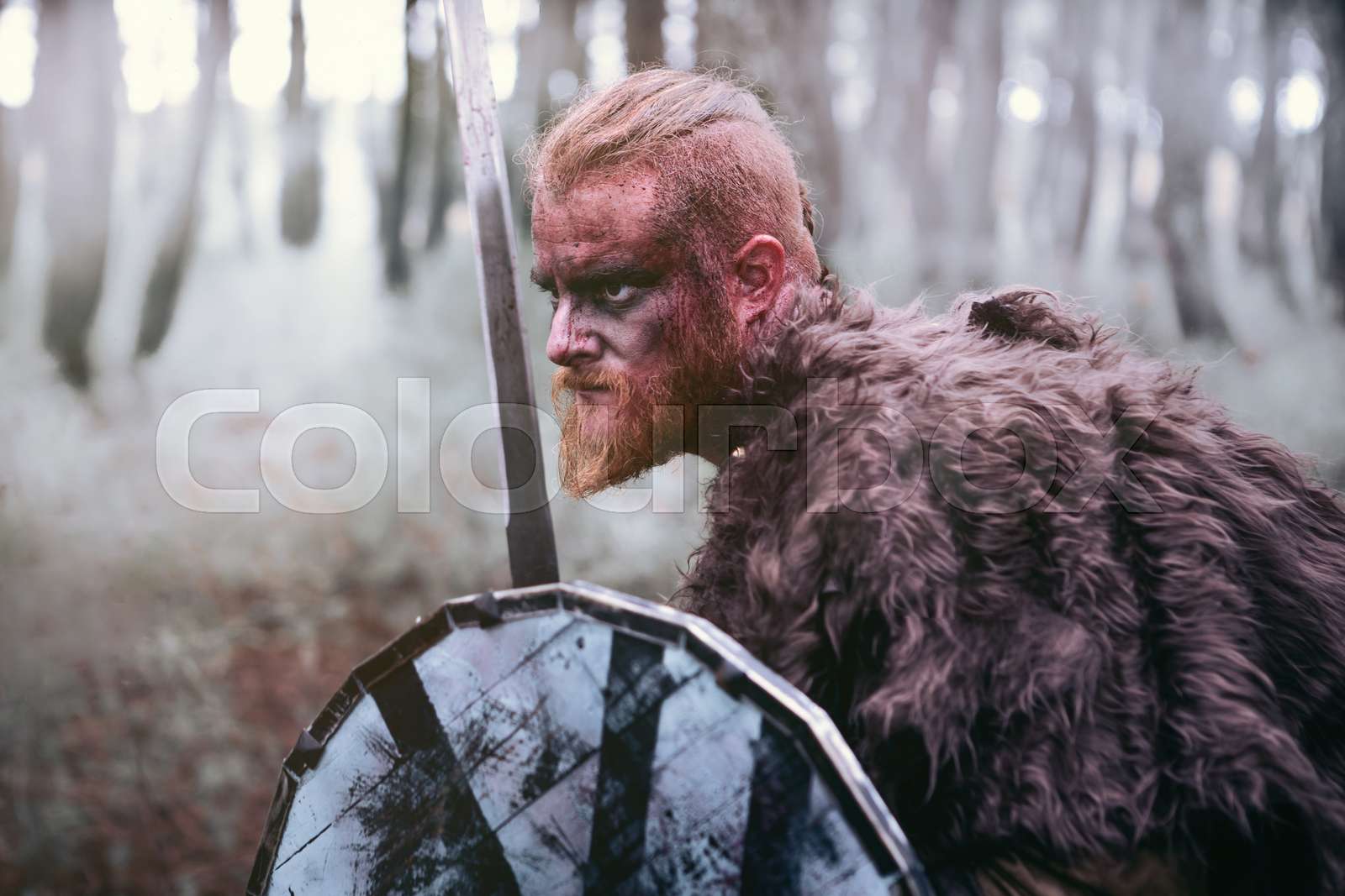 Terrifying viking prepared for the fight | Stock image | Colourbox