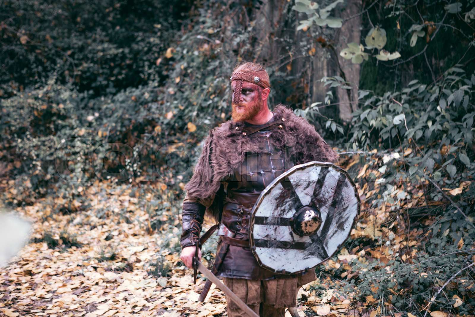 Terrifying viking prepared for the fight | Stock image | Colourbox