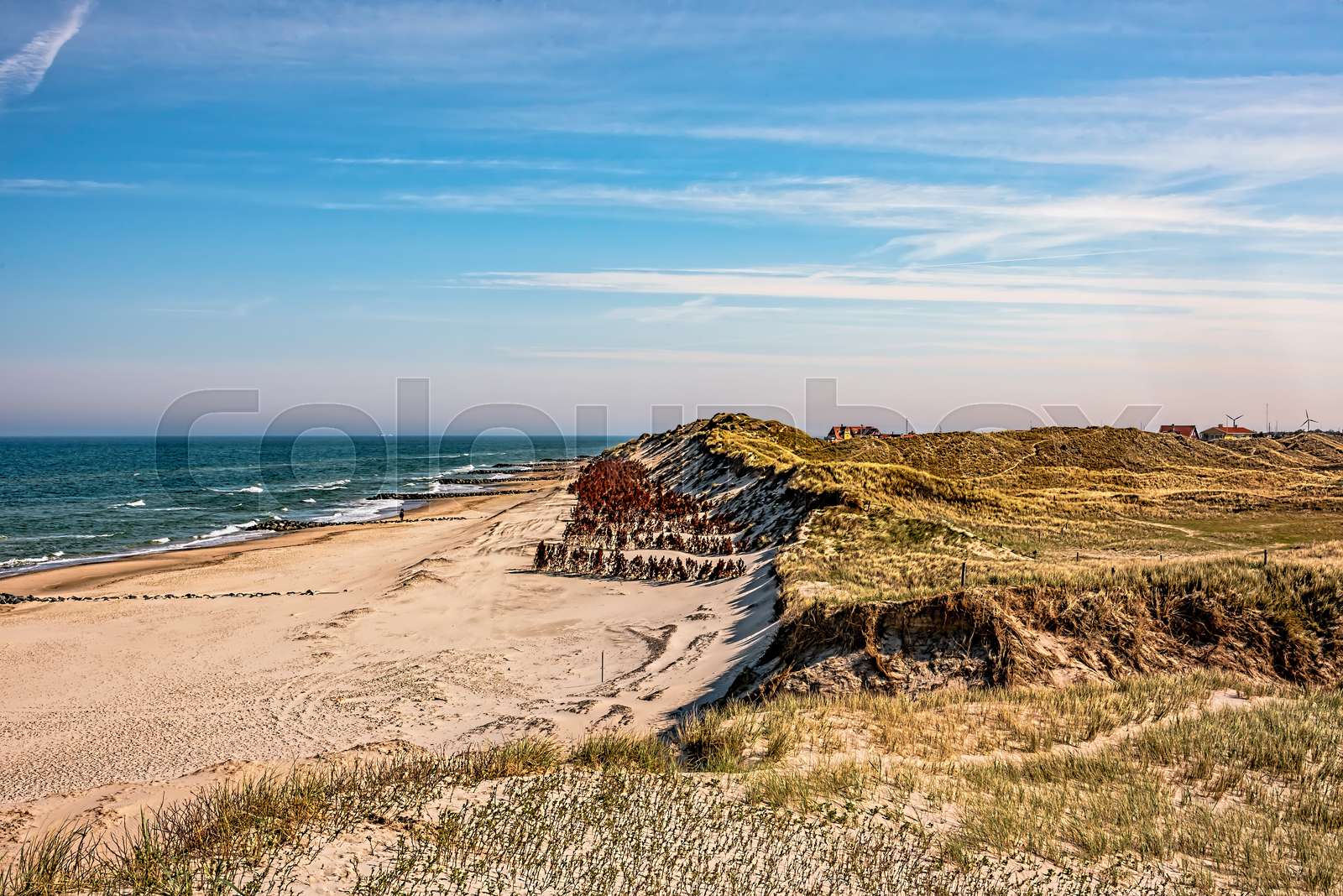skagen, klitter, kystsikring | Stock image | Colourbox