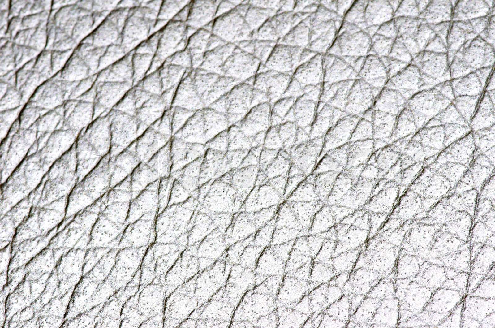 weißes Leder-Textur | Stock Bild | Colourbox