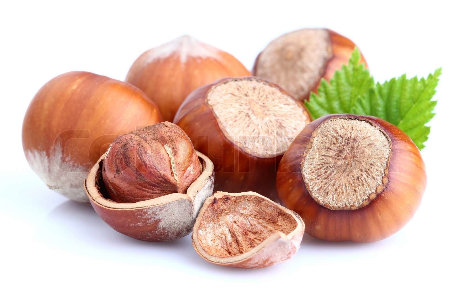 Filbert nuts with leaves | Stock image | Colourbox