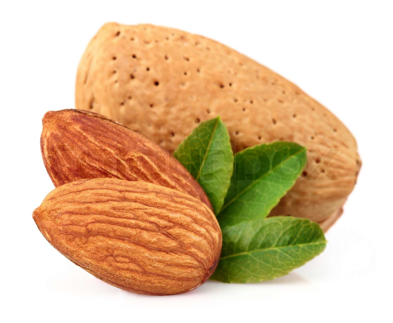 Mandeln mit Blättern | Stock Bild | Colourbox