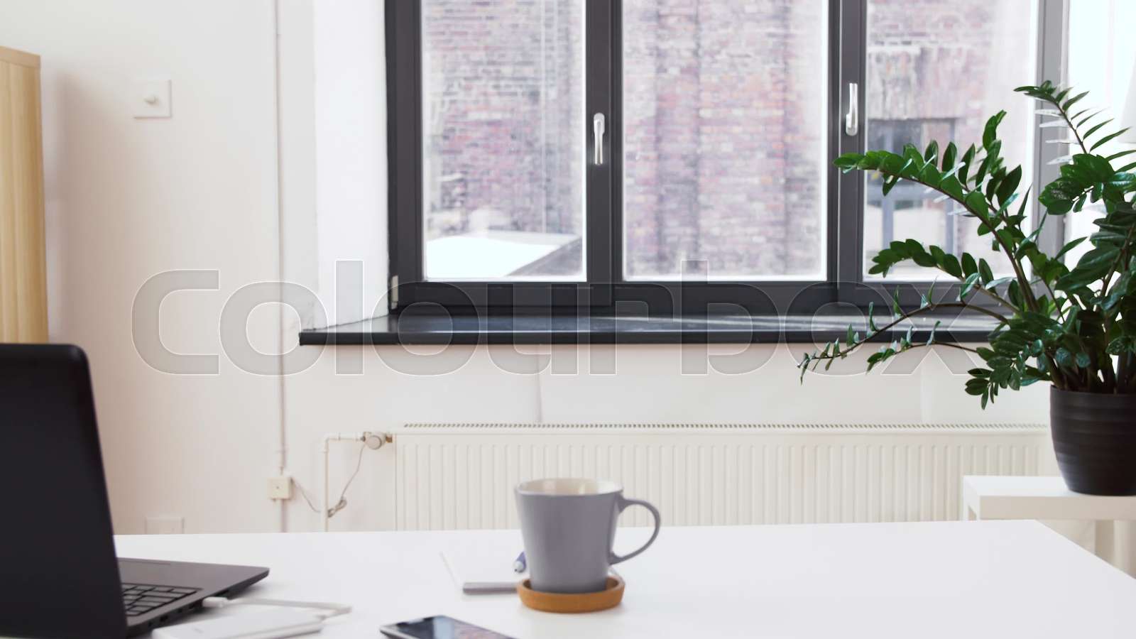 happy young man riding office chair | Stock video | Colourbox