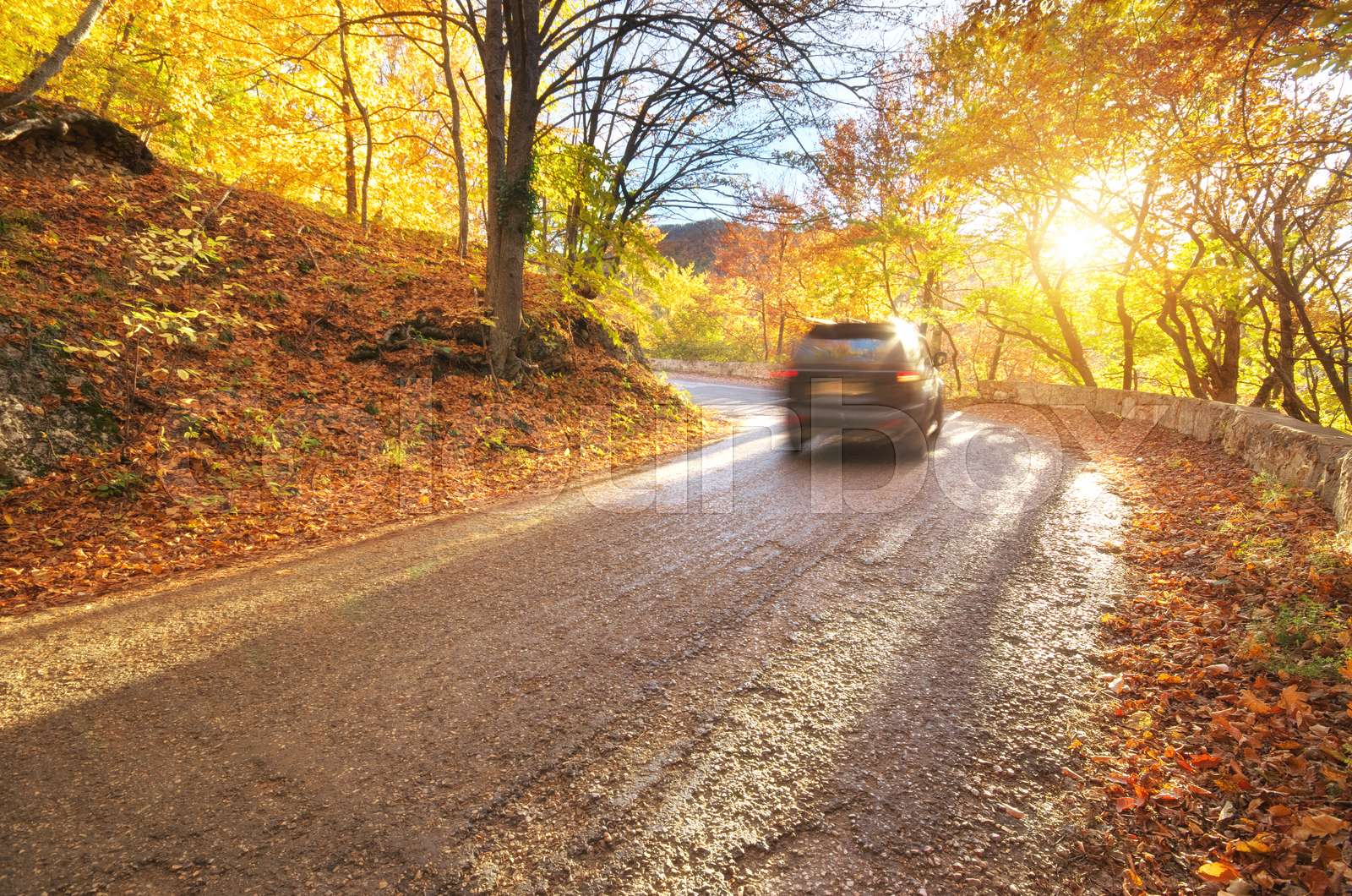 Autumn road and car in mountain forest | Stock image | Colourbox