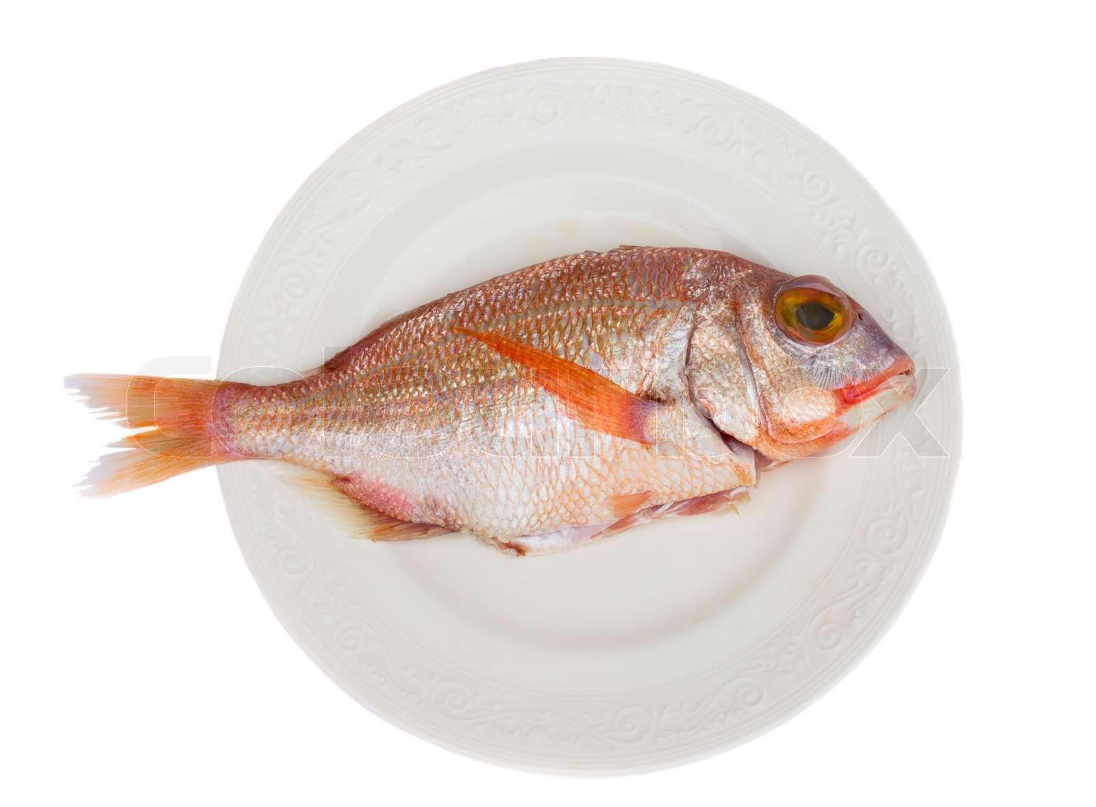 sama fish | Stock image | Colourbox