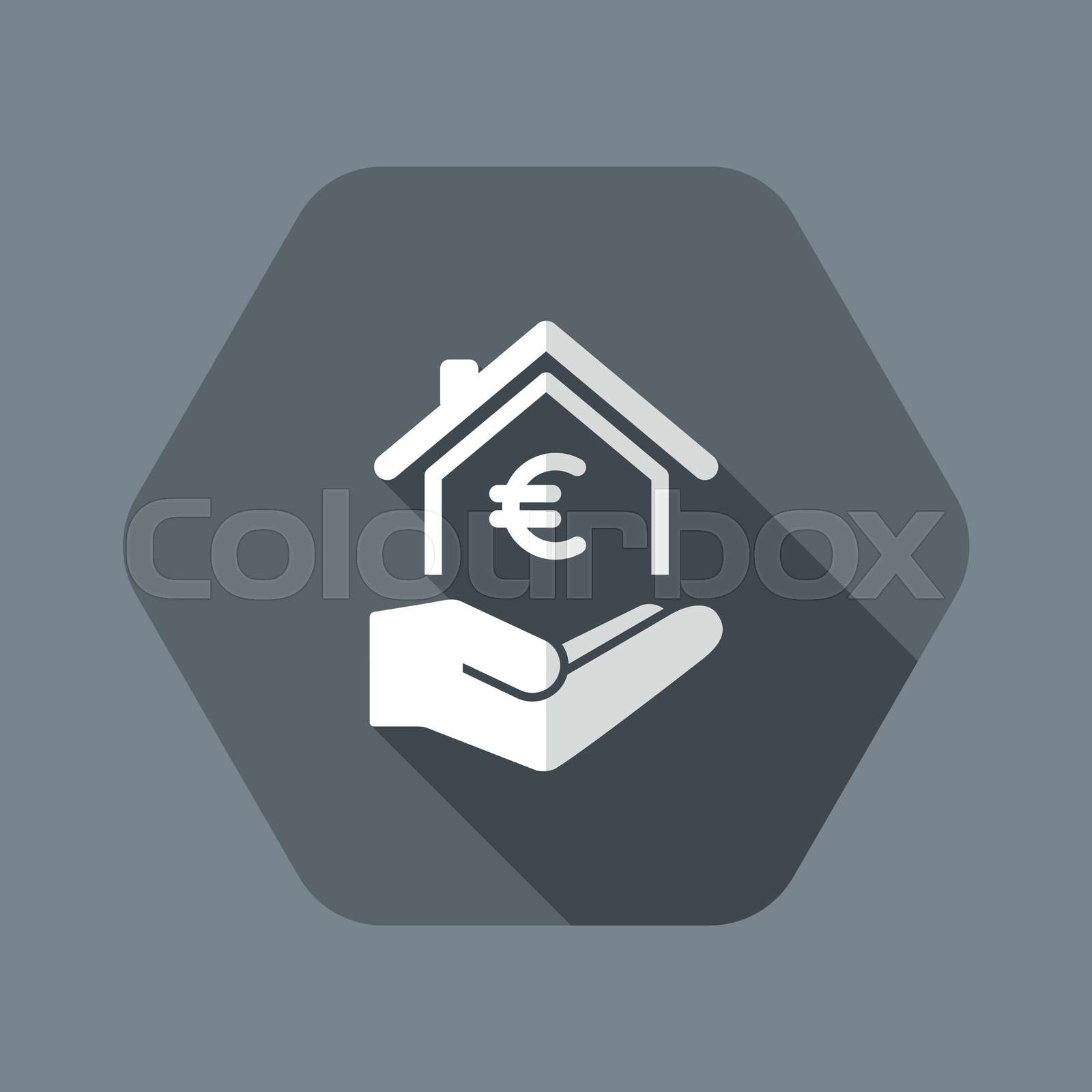 Home cost icon - Euro | Stock vector | Colourbox