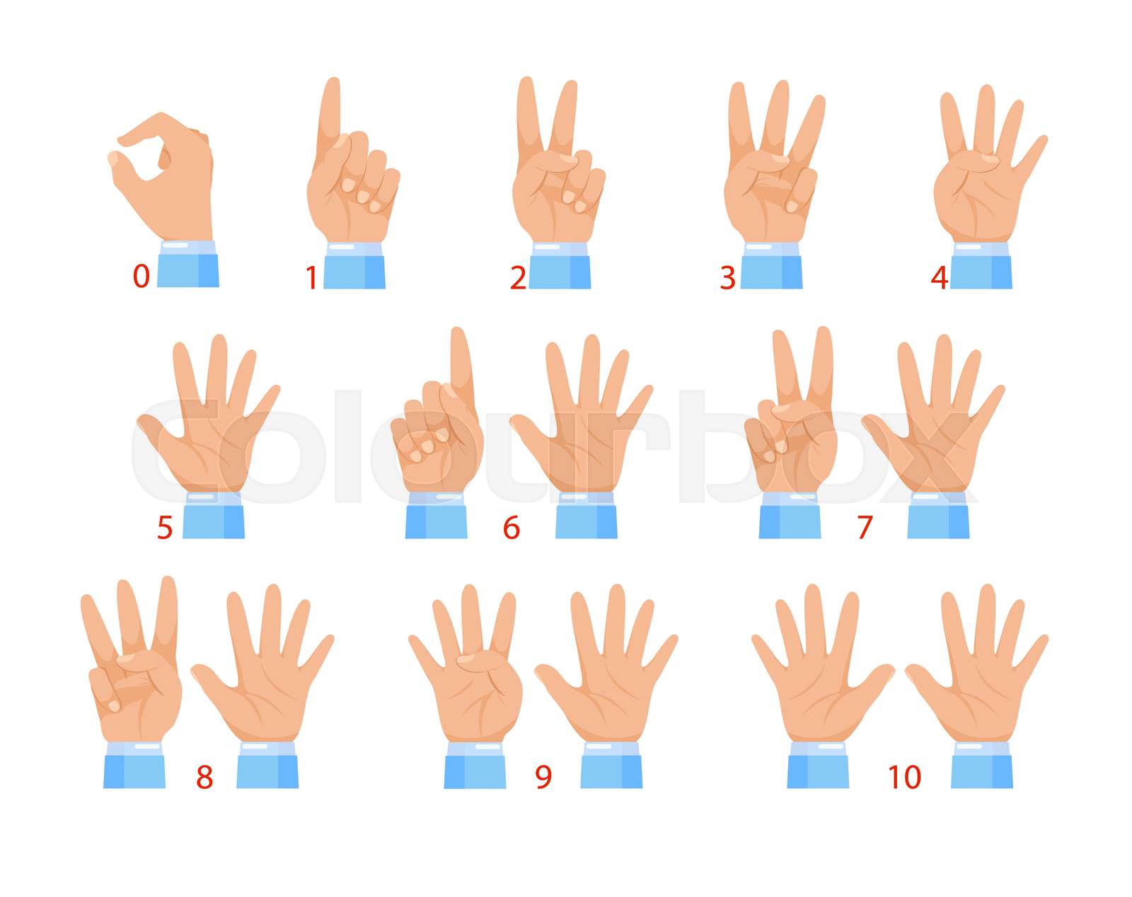 Vector illustration of hands and numbers by fingers. Human hand and ...