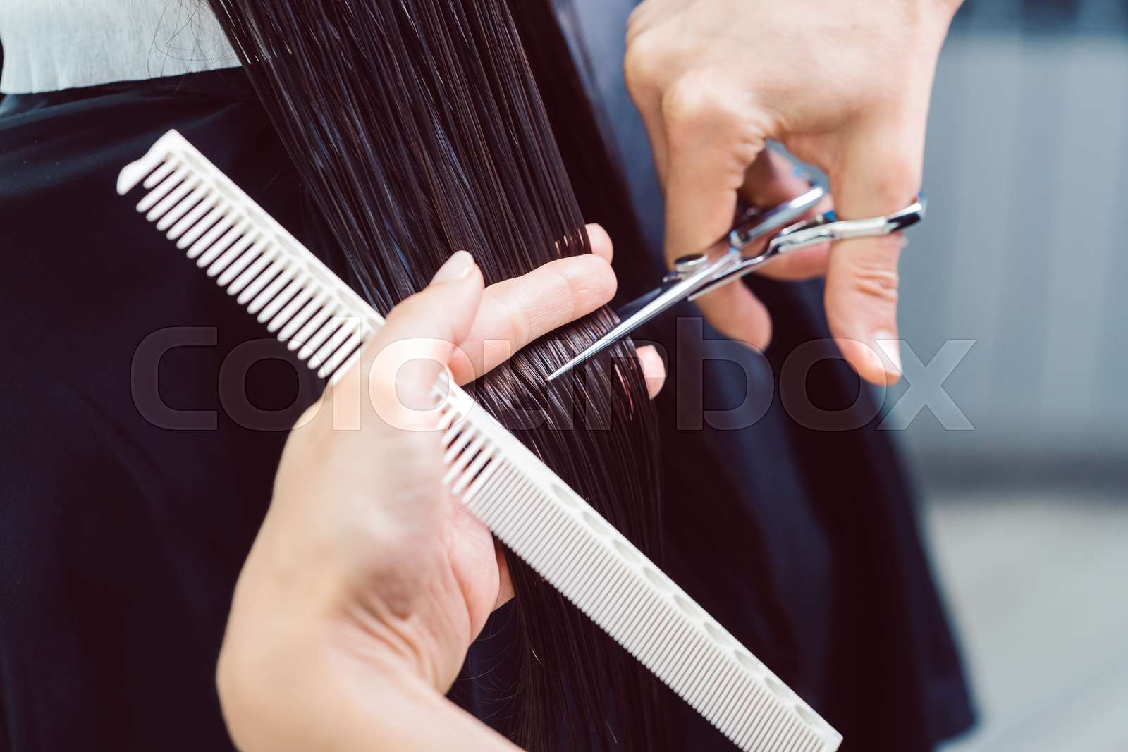 Hairdresser cutting and styling hair of woman in her shop | Stock image ...