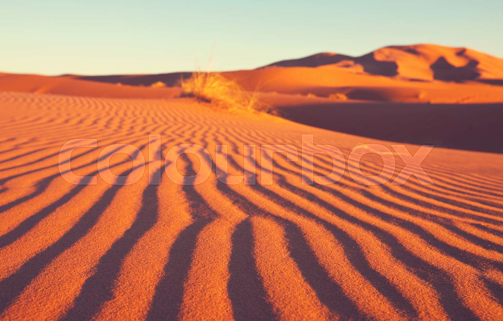 Sand desert | Stock image | Colourbox