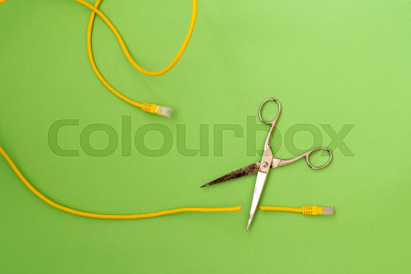 Scissors cut the network cable connector | Stock image | Colourbox
