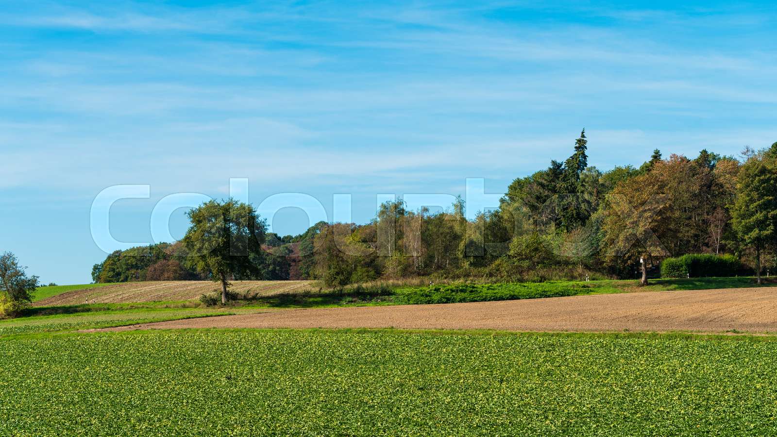 farmland landscape in Europe | Stock image | Colourbox