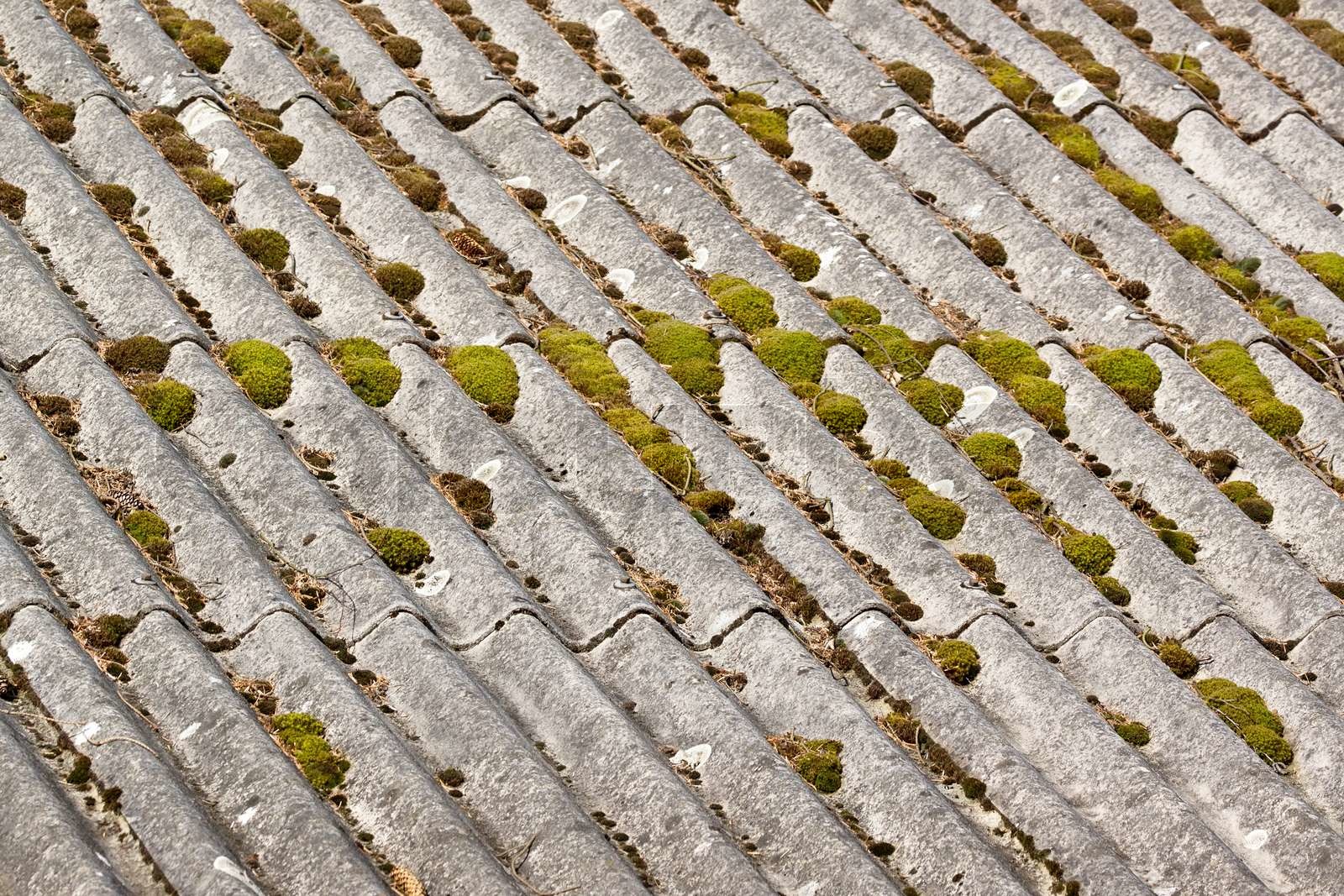 Eternit Roof | Stock image | Colourbox
