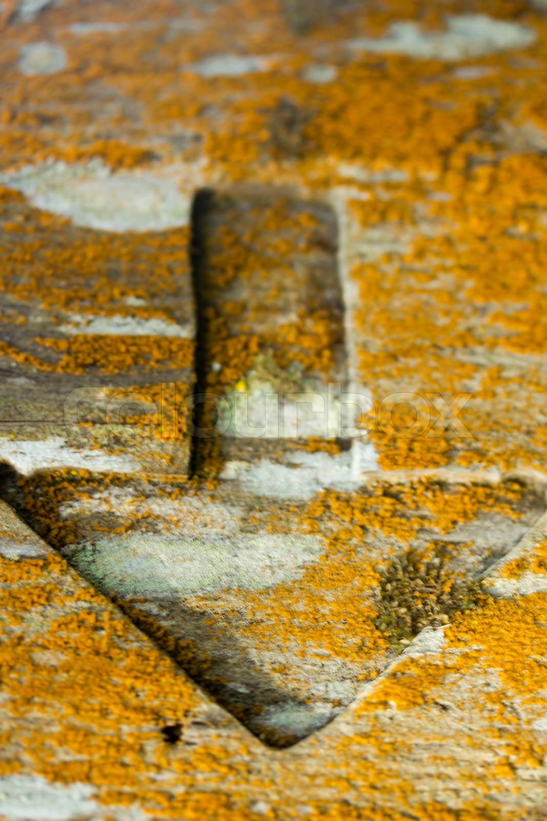 Old Arrow | Stock image | Colourbox