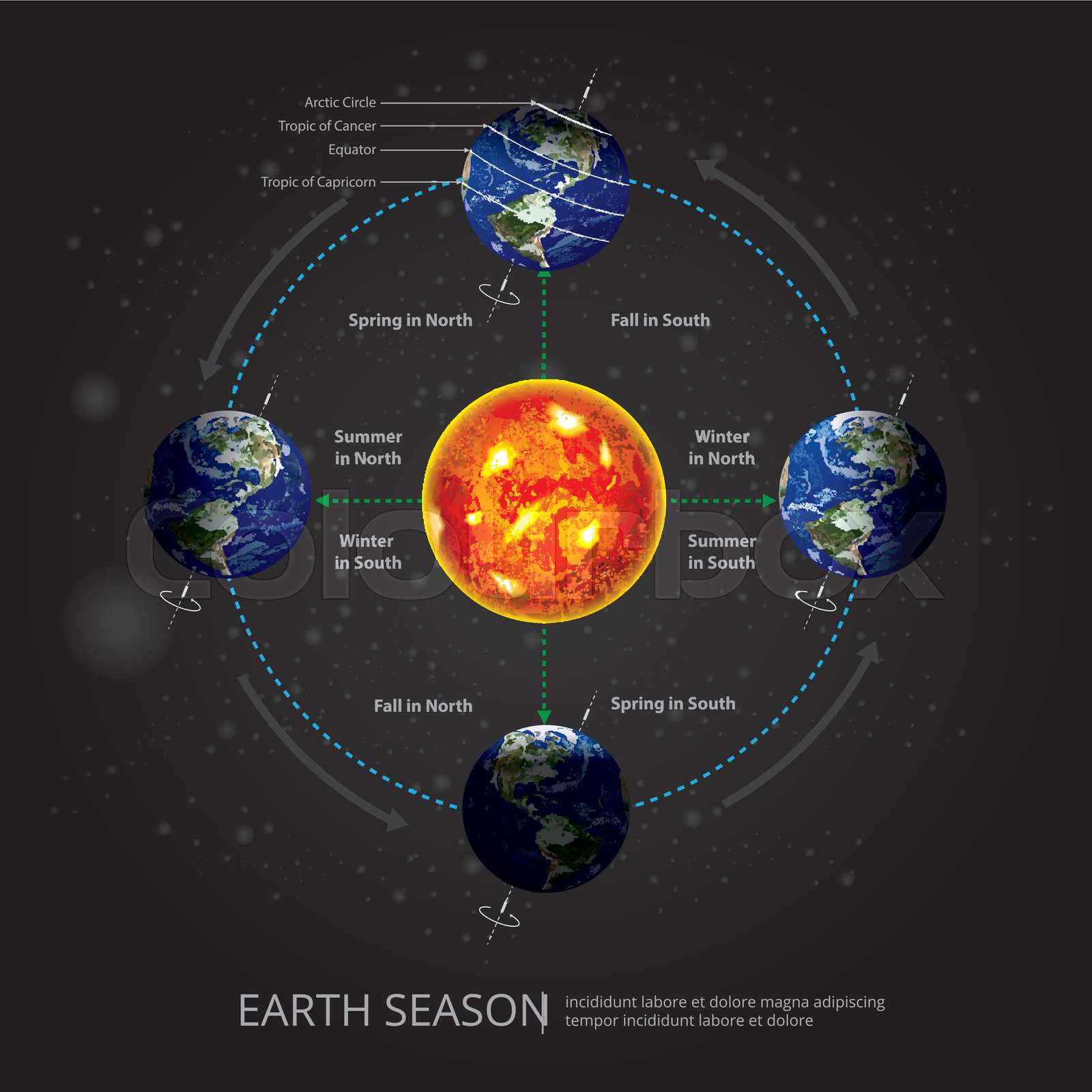 Earth Changing Season Vector Illustration | Stock vector | Colourbox