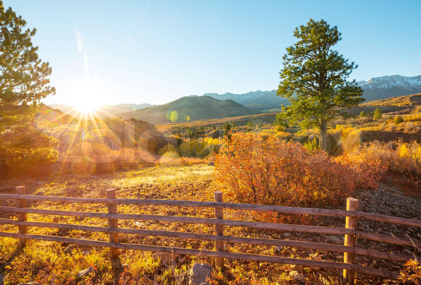 Autumn in Colorado | Stock image | Colourbox