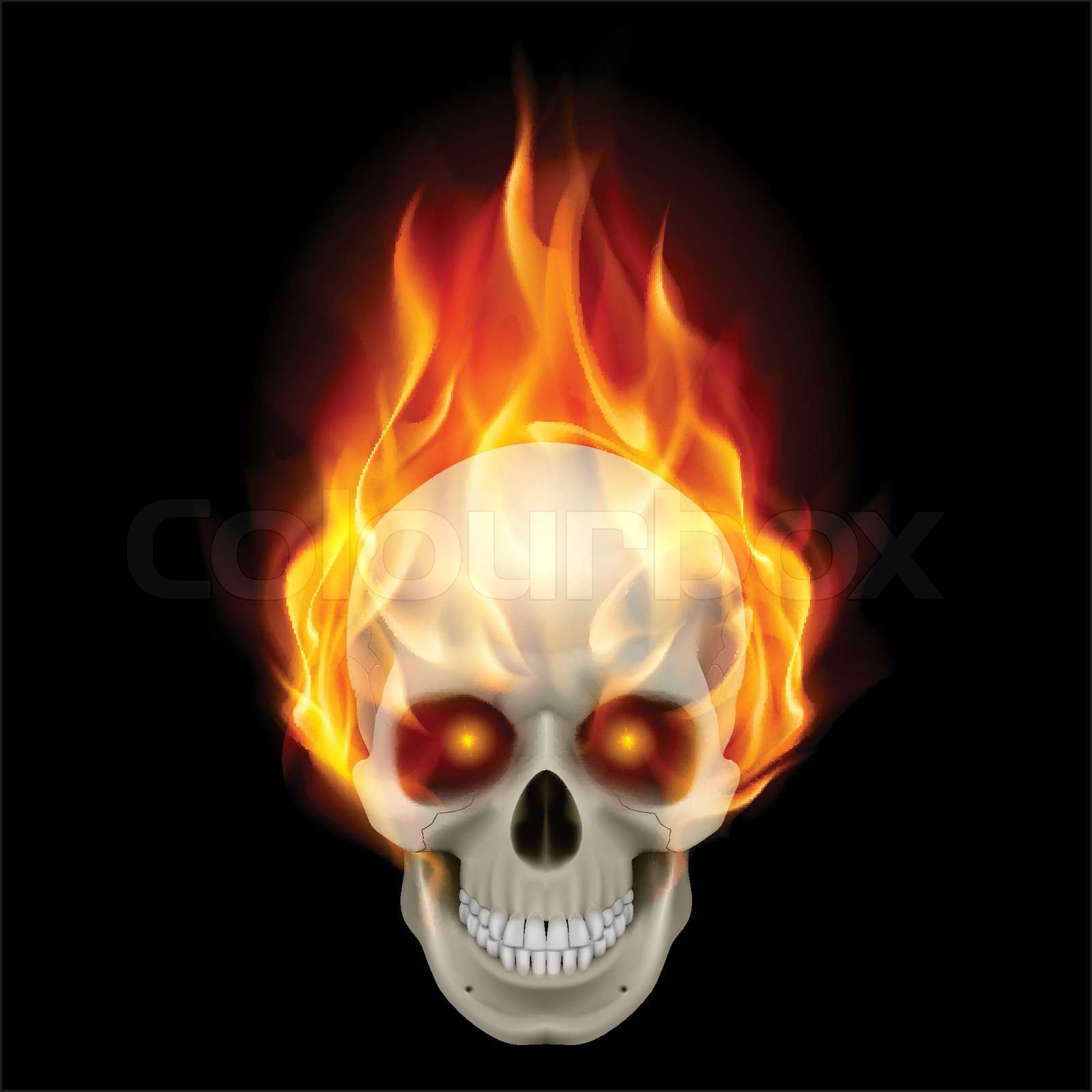 Burning skull | Stock vector | Colourbox