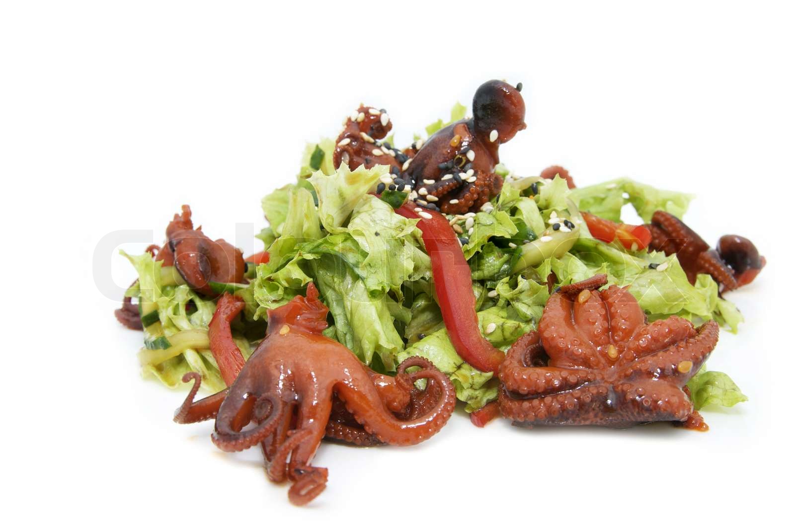 marinated, diet, squid | Stock image | Colourbox