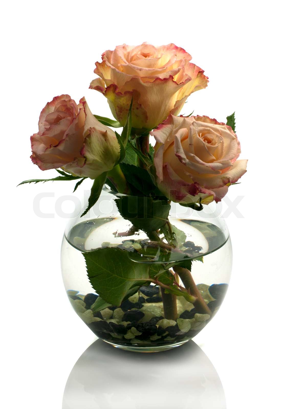 vase with orange roses | Stock image | Colourbox