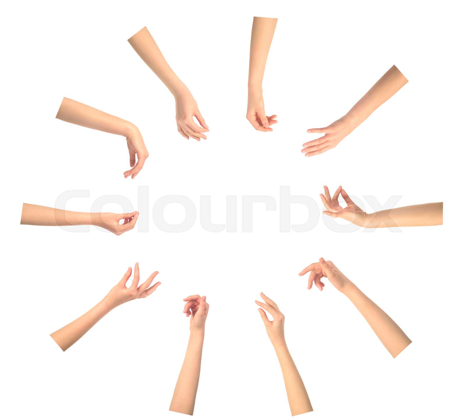 set of womens hand hold something isolated | Stock image | Colourbox