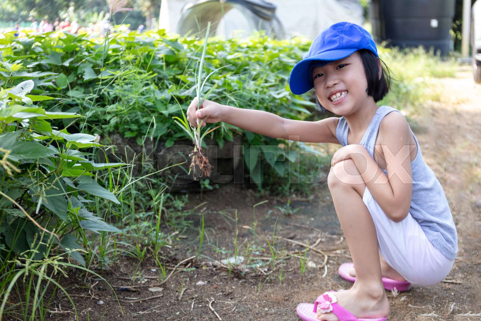 Asian Chinese Little Girl playing at organic farm | Stock image | Colourbox