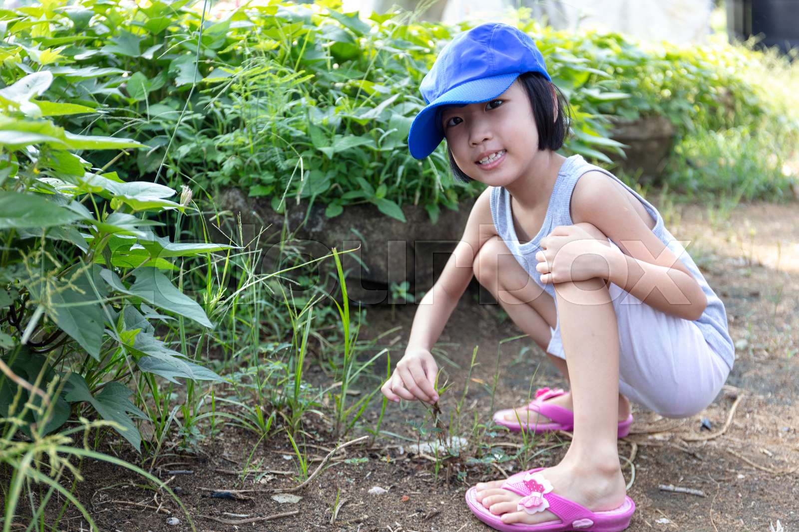 Asian Chinese Little Girl playing at organic farm | Stock image | Colourbox