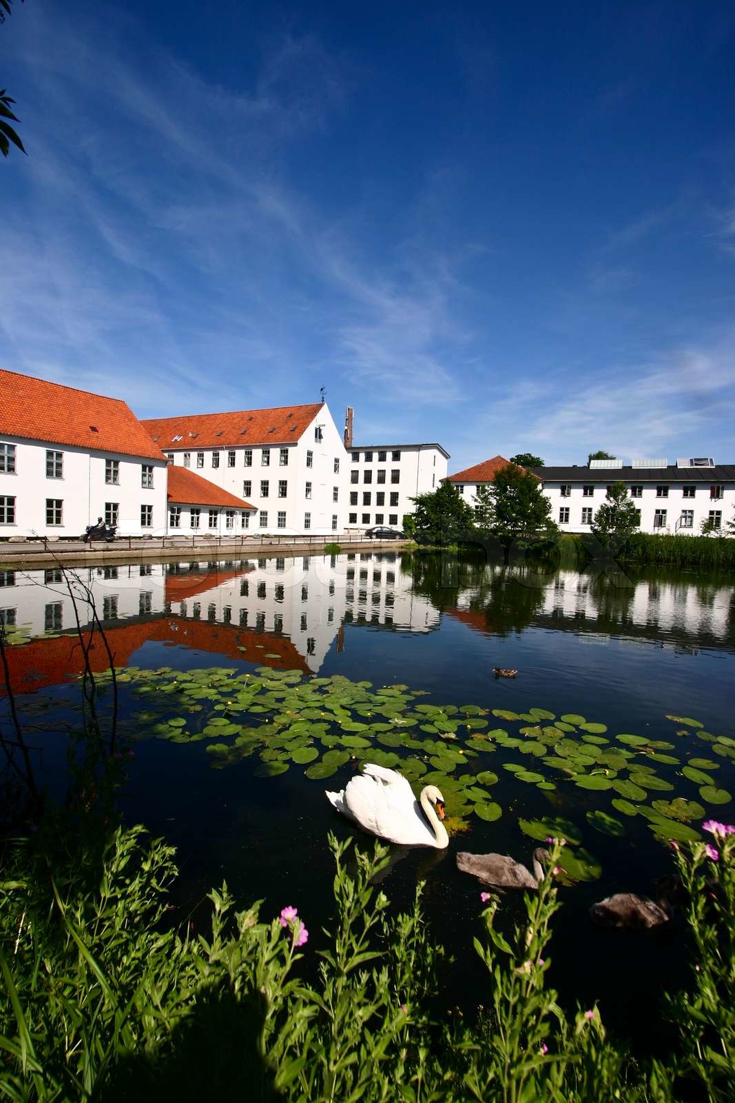 House in denmark | Stock image | Colourbox