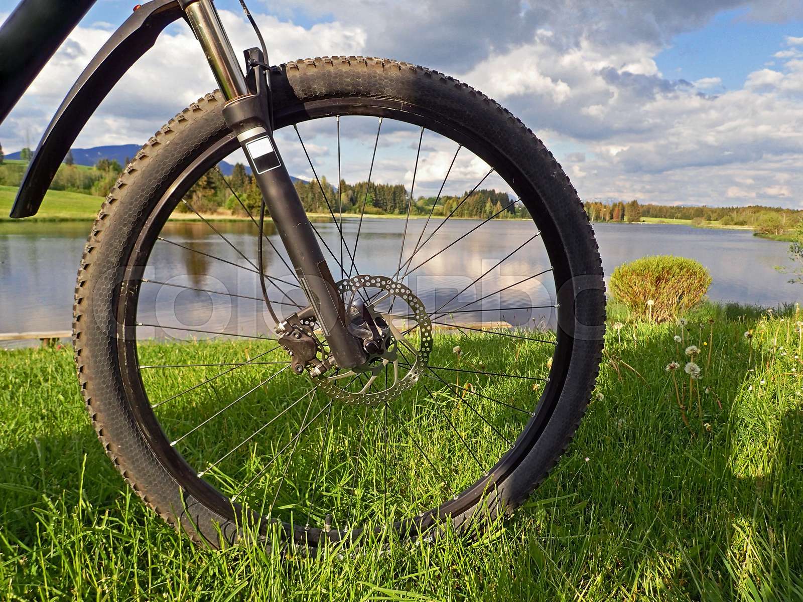 Fahrradfahren in der Natur. Mit dem Fahrrad an den See | Stock Bild ...